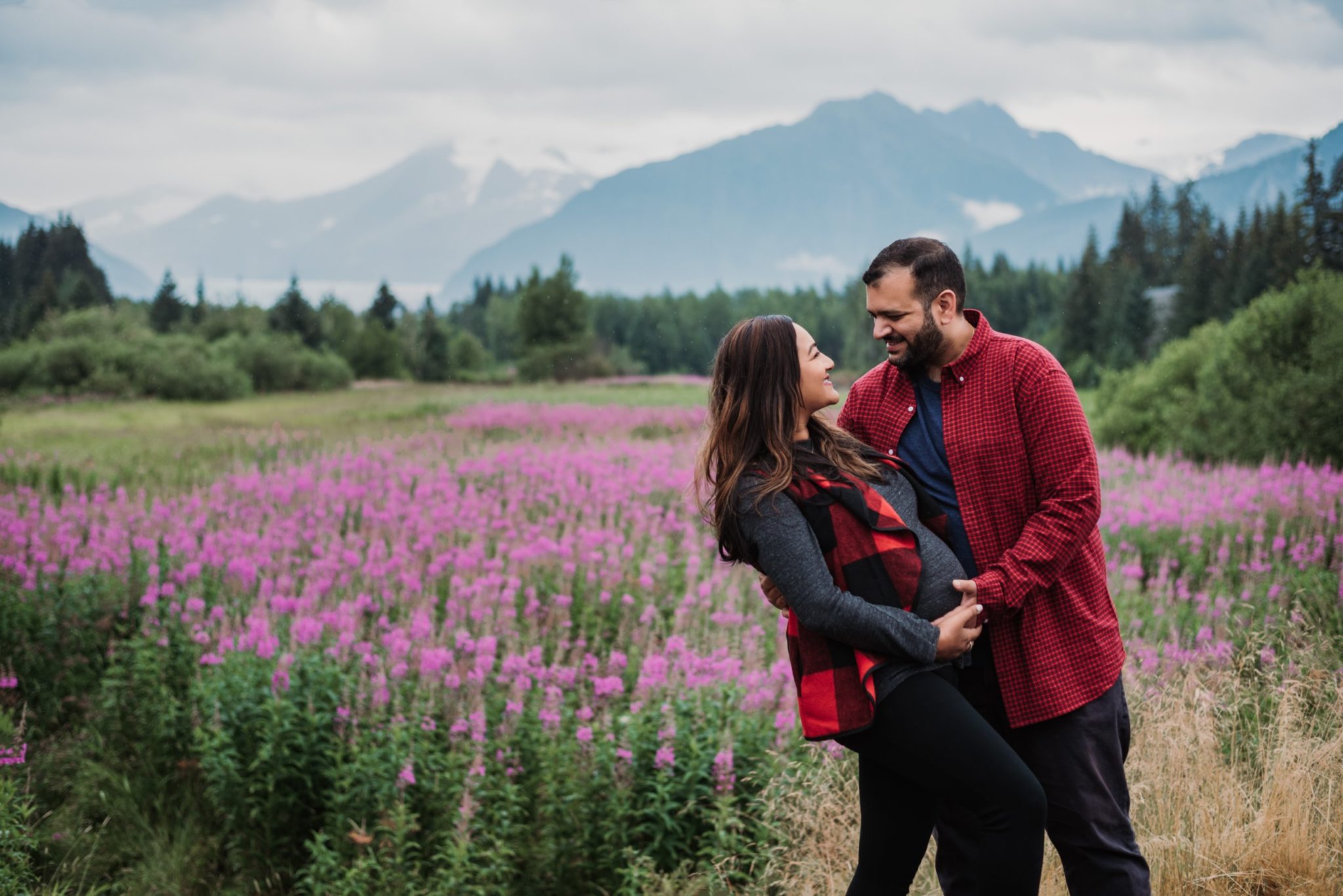When do fireweeds bloom in Alaska - wildirisphoto.com