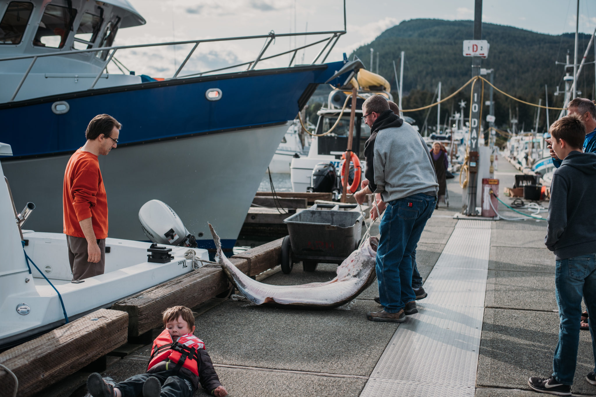 The Family that Filets Together - wildirisphoto.com