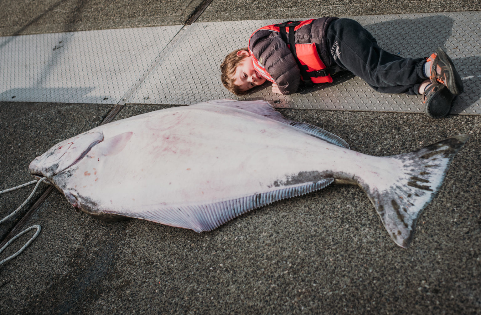 The Family that Filets Together - wildirisphoto.com