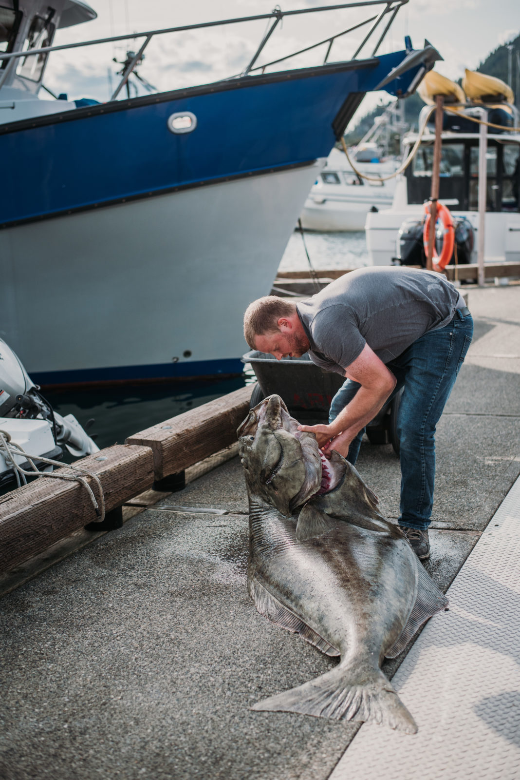 The Family that Filets Together - wildirisphoto.com