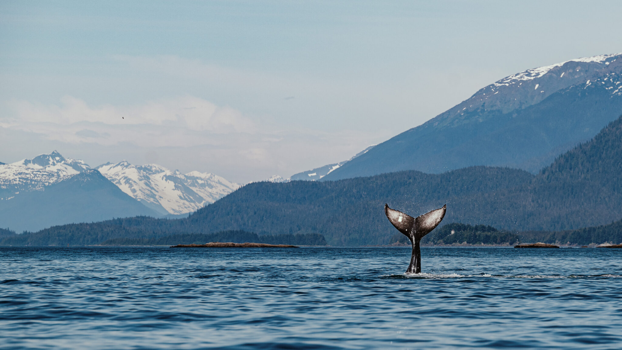 The Ultimate Guide To Eloping In Alaska